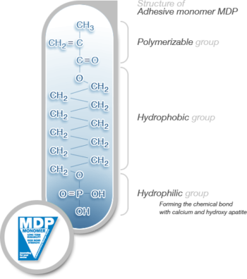 MDP Monomer - Kuraray Dental